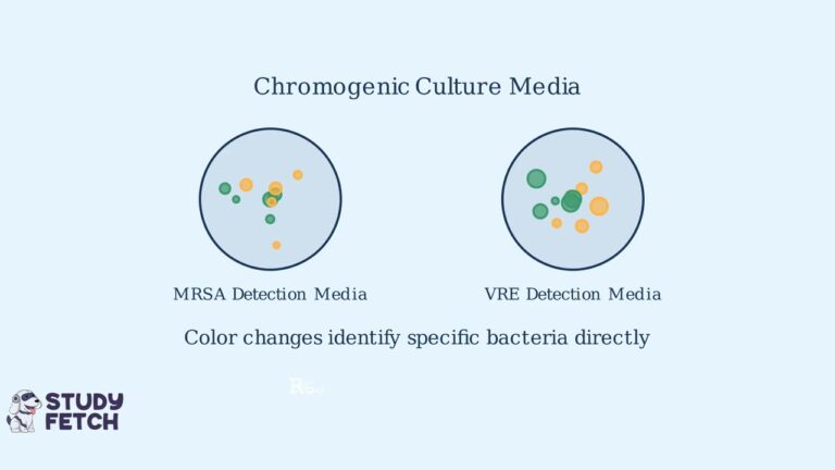 The Three Domains of Life Explained - Biology Notes Online