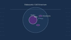 Microbes Explained Bacteria, Algae, Fungi, and Protozoa - Biology Notes ...