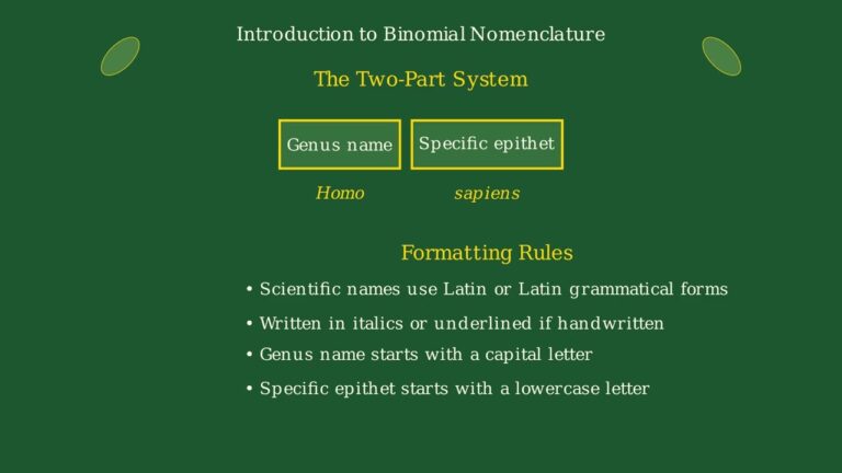 Understanding P-Values: A Simple Explainer - Biology Notes Online Understanding P-Values: A Simple Explainer - Biology Notes Online