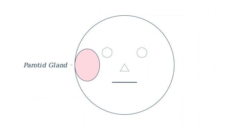 Motility – Definition, Types, Importance, Examples - Biology Notes Online