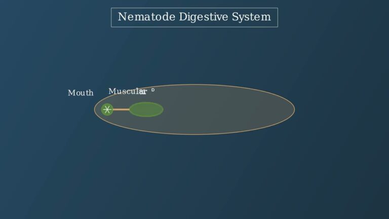 Simple Columnar Epithelium Explained - Biology Notes Online