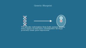 The Three Domains of Life Explained - Biology Notes Online