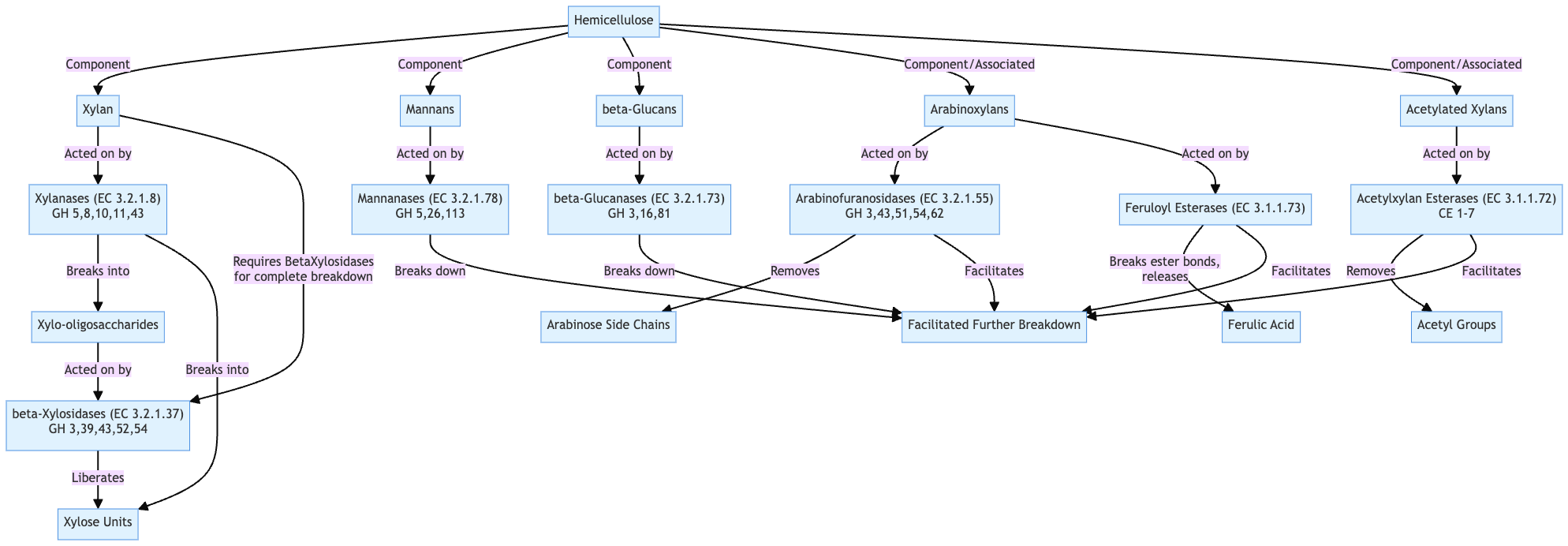 Microbial degradation of hemicellulose - Definition, Enzymes, Steps ...