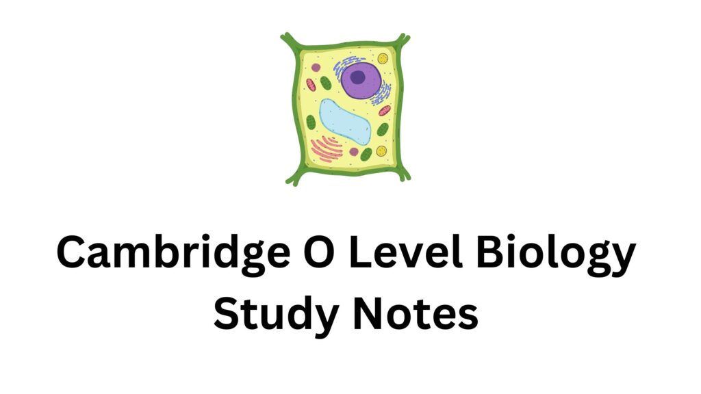 Cambridge O Level Biology Study Notes - Biology Notes Online