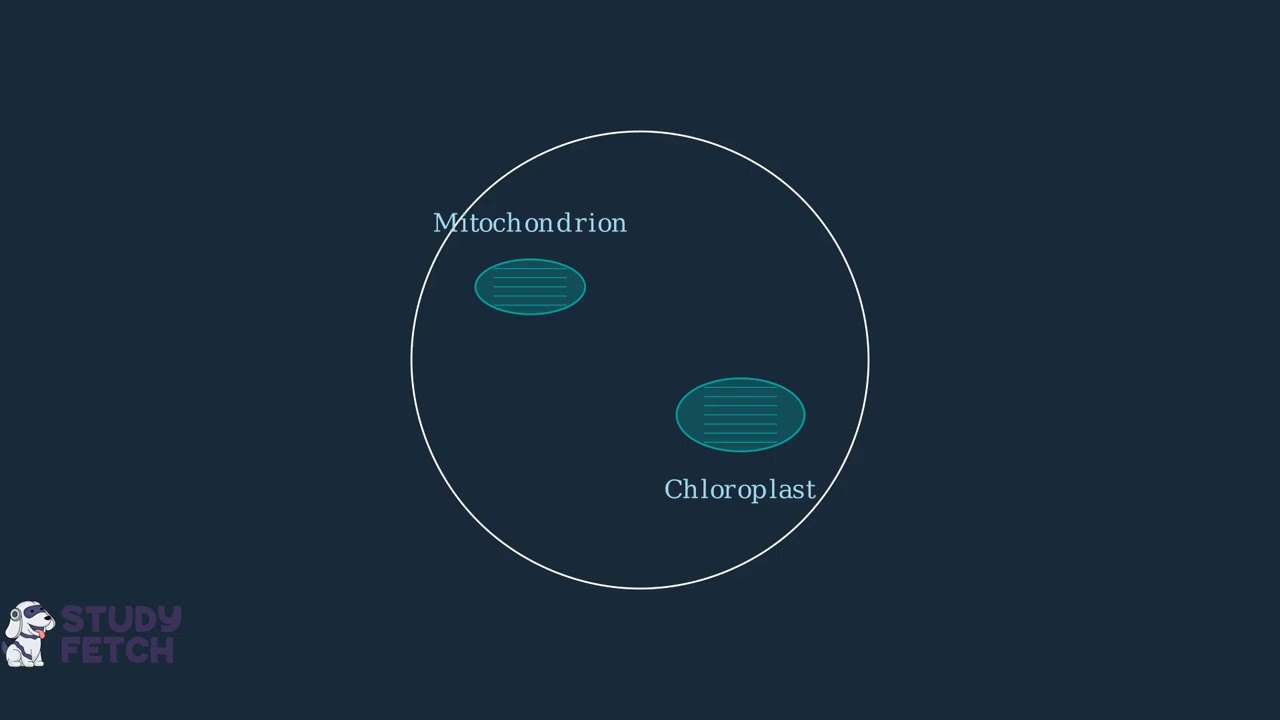 EMBL Nucleotide Sequence Database Explained - Biology Notes Online