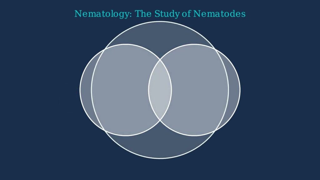 Primary Databases Explained - Biology Notes Online